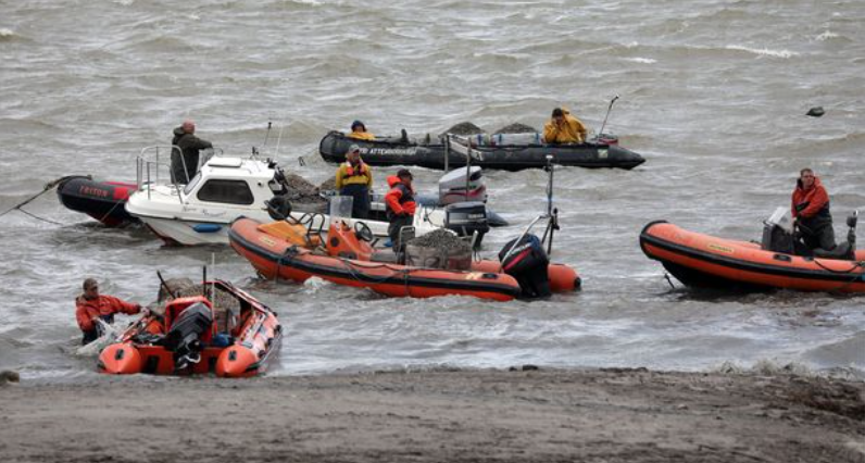 Tragedy as whale rescue fails