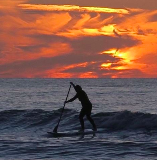 Massive increase in sales for paddleboard retailers