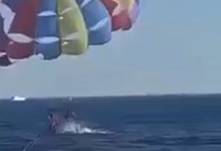 VIDEO: Leaping shark attacks parasailor