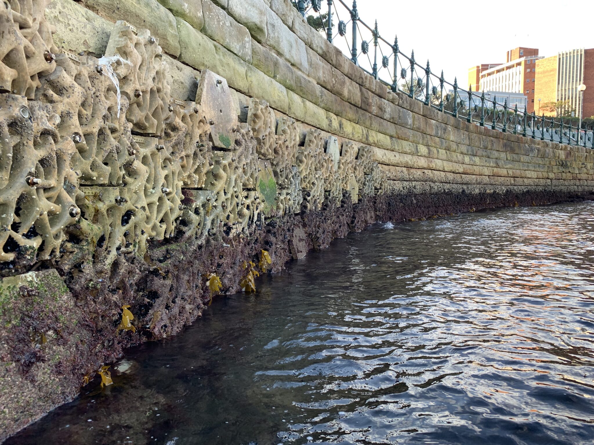 Irish pontoon manufacturer ICMS partners with Living Seawalls - Marine ...