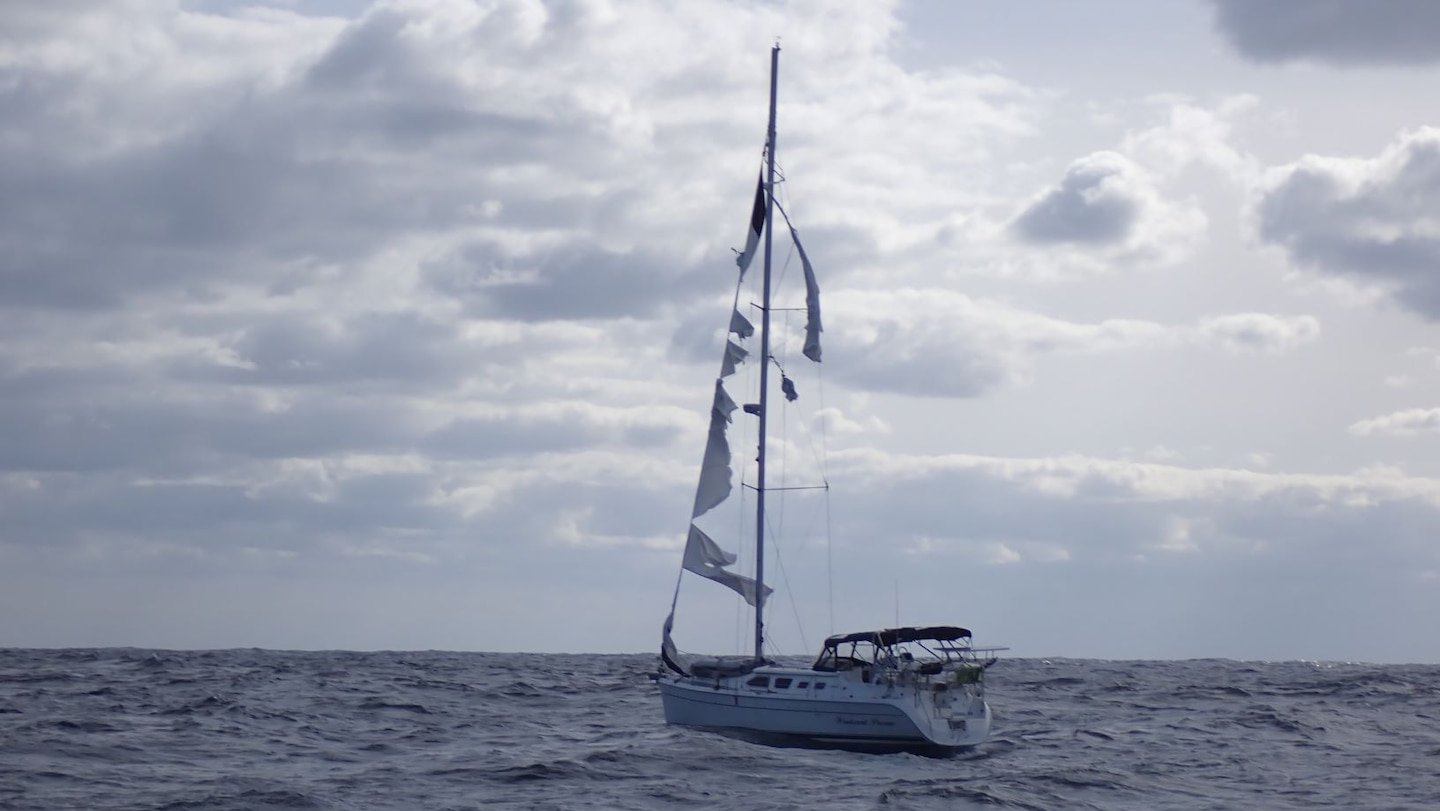 Missing sailor found alive on tattered vessel two weeks after setting ...